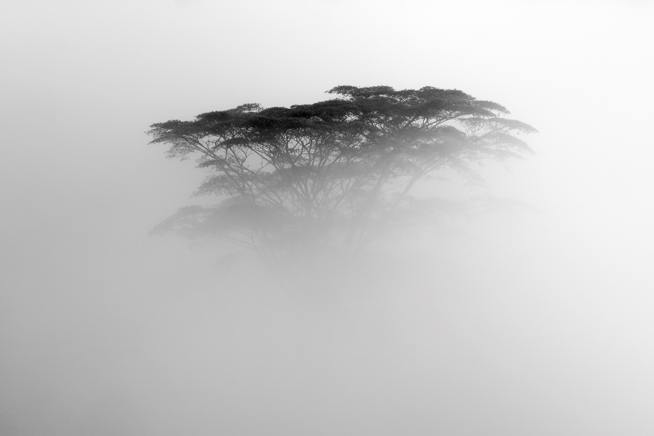 The 3 Types of Trauma and How They Impact You - Soul in Motion